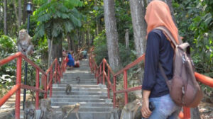 Objek Wisata Gunung Tidar, Wisata Pegunungan di Tengah Kota Magelang - Visit Magelang